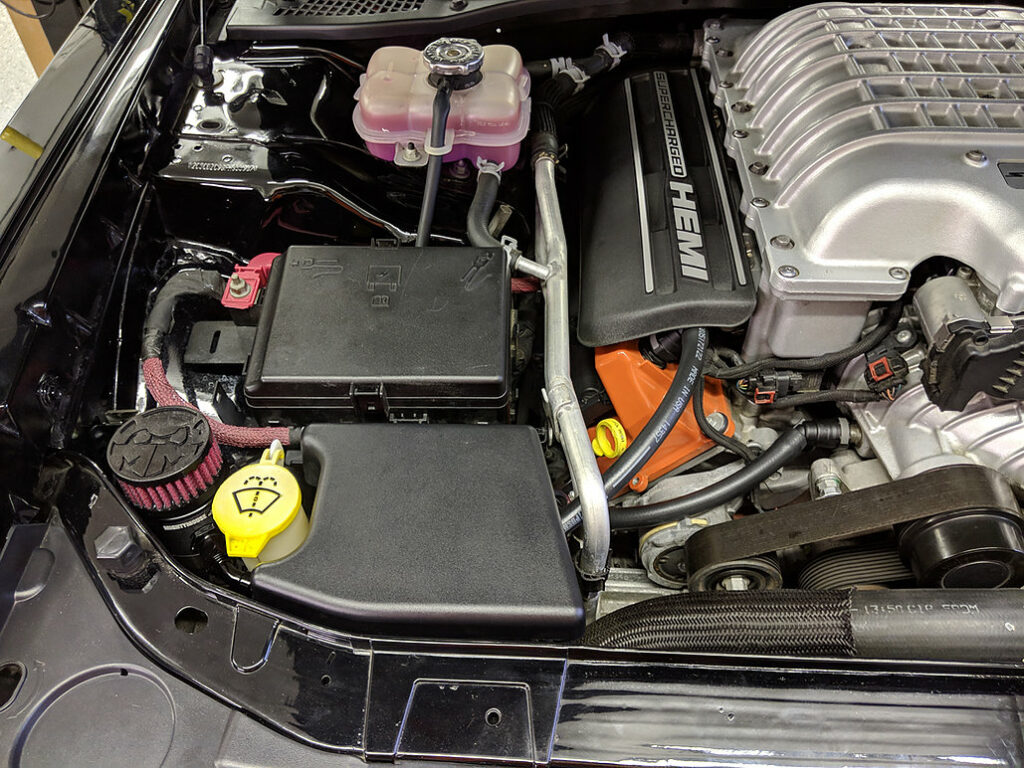 Mighty Mouse Catch Can Hellcat / Demon Wild - SHOPHELLCAT